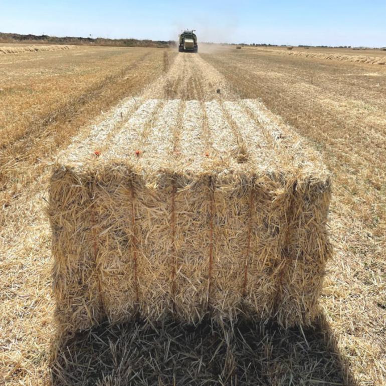 BALER TWINE - SICOR